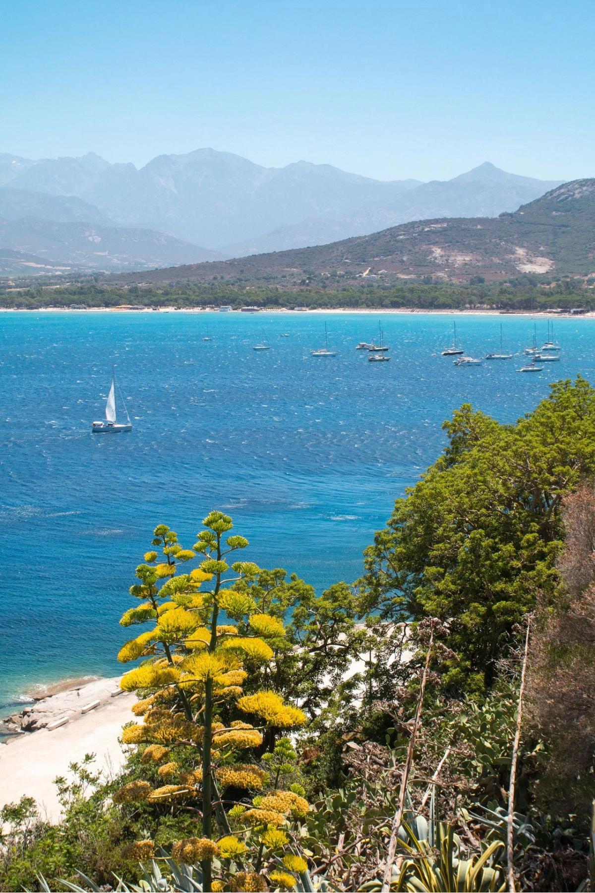 Communauté de Communes Calvi-Balagne | Office de Tourisme